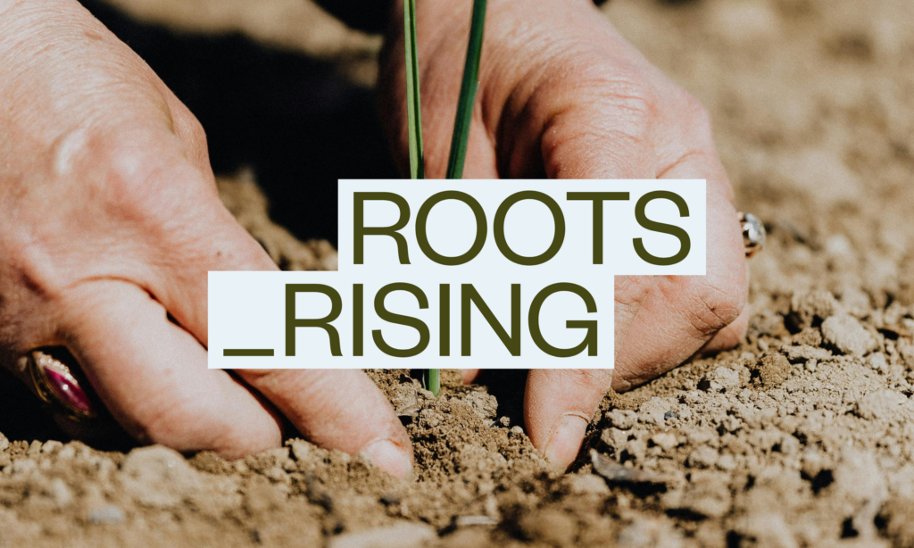 Roots Rising - Comotion